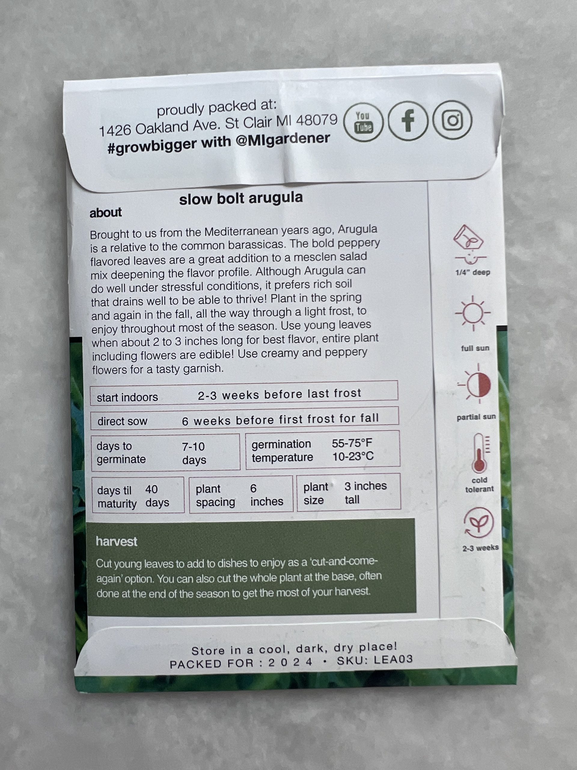 Arugula Slow Bolt - MIg - Local Roots
